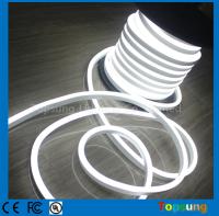 China 50m Decorative Led Rope Light 220v  Long Life And Durability for sale