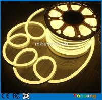 China led LED Neon Lighting Flexible Rope light Soft neon light 24V warm white 3000k for sale