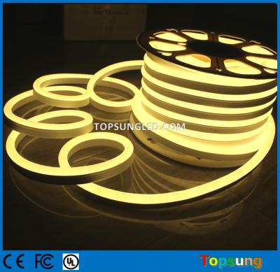 China led LED Neon Lighting Flexible Rope light Soft neon light 24V warm white 3000k for sale