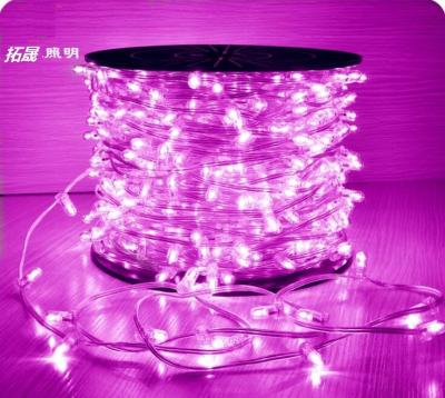 China Low Voltage Powered Led String Lights pink color Christmas Led 100m Strings 666LED for sale