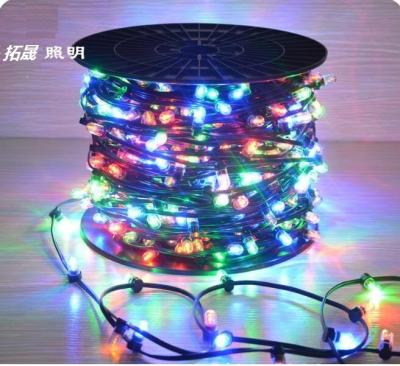 China Manufacturer 100m led string IP65 12V flashing led clip on light for AU for sale