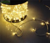 China Christmas Tree Decorations Transparent Cable Fairy Lights 12V LED Clip Lights luces navidad for sale