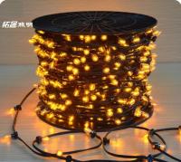 China 100m Outdoor Tree Decorative Dark green Wire Christmas 12V LED Fairy Clip Lights led christmas for sale