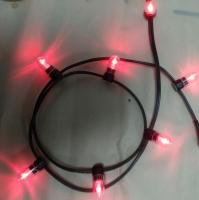 China 12v low power led clip light 100m/roll christmas lights led string Lights red rice strings 666 bulbs for sale