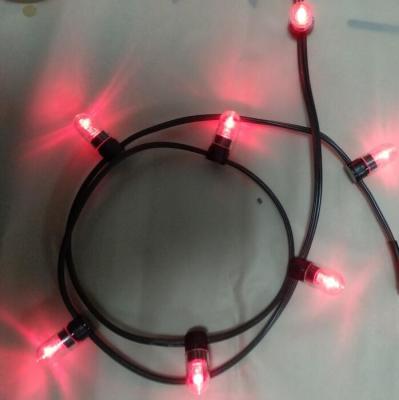 China 12v low power led clip light 100m/roll christmas lights led string Lights red rice strings 666 bulbs for sale