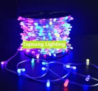 China 12v low power led clip light multi colors 100m/roll long christmas lights led 100m string Lights for sale