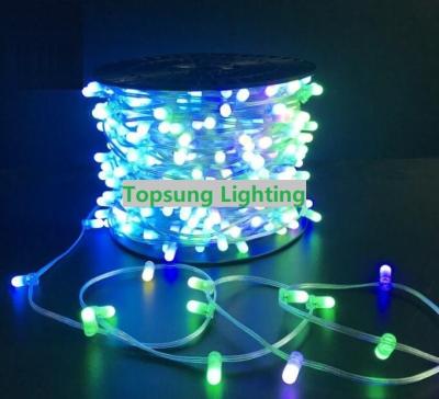 China Christmas 100m 666leds 12V flashing led clip on light for AU wedding Garland for sale