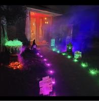 China 10m L15 Bulbs Other LED Lights Programmable Garden Lawn Lights for sale