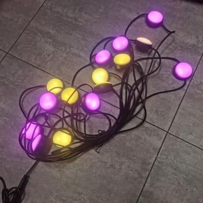 China 15 Bulbs 10m RGB Other LED Lights Lawn Light Post Tuya APP Control for sale