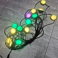 China Tuya APP RGBIC Outdoor Lawn Lights Strings Plug 15 Bulbs Wifi for sale