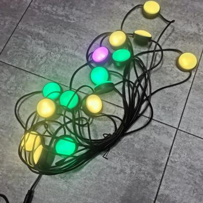 China Tuya APP RGBIC Outdoor Lawn Lights Strings Plug 15 Bulbs Wifi for sale