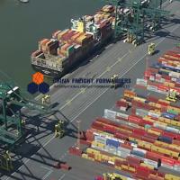 China Custom Warehousing Sea Freight Forwarder International Shipping China To South America for sale