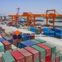 China LCL Sea Freight Forwarder Agent International Ocean Shipping Services China to Canada for sale