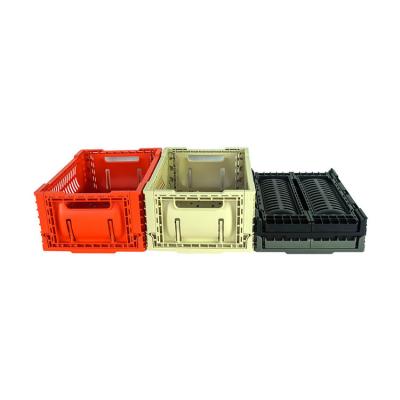 China Folding 5L Portable Picnic Basket Ready To Ship 6kg Load for sale