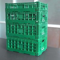 China Silk Road Enterprise Green Vegetable Storage Reusable Collapsible New PP Plastic 32 Liters Crate for sale