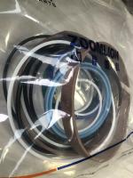 China 56M 52M Boom X Leg Hydraulic Cylinder Seals Kit SKF Zoomlion for sale