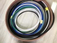 China Hydraulic Pump Seal Kit Boom Piston Seal Kit SKF Zoomlion 47M for sale