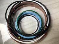 China Zoomlion X Leg Boom Seal Kit Brake Piston Seal Kit Size 160/280 52m 56m for sale