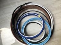 China Zoomlion X Leg Boom Seal Kit Brake Piston Seal Kit Size 160/280 52m 56m for sale