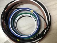 China Zoomlion X Leg Boom Seal Kit Brake Piston Seal Kit Size 160/280 52m 56m for sale