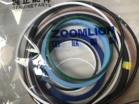 China Zoomlion X Leg Boom Seal Kit Brake Piston Seal Kit Size 160/280 52m 56m for sale