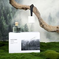 China Gypsum Ceramic Scented Clay Air Freshener Gift Set 19.9x6.7x12.8cm Custom Scent for sale