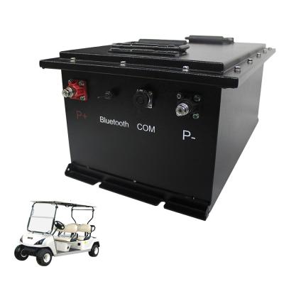 China Green Energy Storage LFP Battery Pack 51.2V 160Ah Golf Cart Li ion for sale