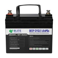 China Lithium 12V 384Wh 10mΩ Portable Li Ion Battery Optional Bluetooth for sale