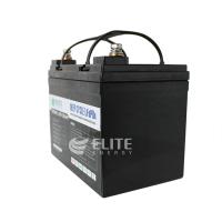 China Backup Lifepo4 12V 30Ah 384Wh Lithium Phosphate Battery 2000 cycles for sale
