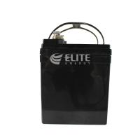 China Backup Lifepo4 12V 30Ah 384Wh Lithium Phosphate Battery 2000 cycles for sale