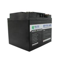 China Deep Cycle 12V LiFePO4 Battery 60Ah Lithium ESS/EV Battery LED Display for sale