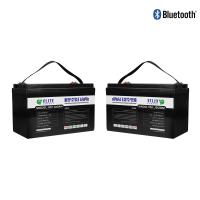 China 12V 100Ah LFP Lithium Battery for solar energy storage Built in BMS for sale