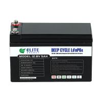 China LiFePO4 Pack Rechargeable Lithium Battery 64Wh 5Ah For Solar Street Light for sale