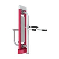 China WPC Galvanized Steel Pipe Outdoor Fitness Equipment For Calisthenics for sale