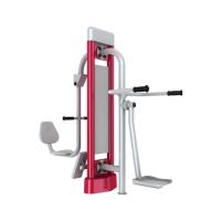 China WPC Galvanized Steel Pipe Outdoor Fitness Equipment For Calisthenics for sale