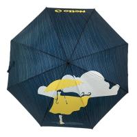 China 110cm Auto Open Fiberglass Umbrella with Digital Printing 8 Panels Pongee Fabric for sale