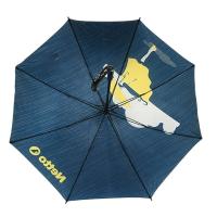 China 110cm Auto Open Fiberglass Umbrella with Digital Printing 8 Panels Pongee Fabric for sale