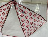 China 21 Inches Transparent Folding Umbrella Manual Open Metal Frame for sale