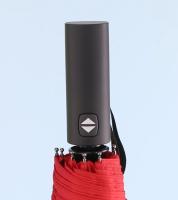 China auto open Foldable Umbrella With Printing Change When Meet Water Umbrella for sale