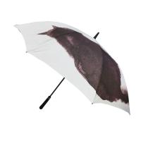 China Cat 62 68 72 Inch Automatic Open Windproof Golf Umbrella Extra Large Oversize Double Layer for sale