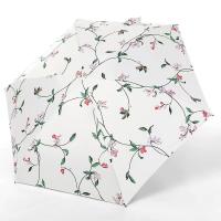 China Super Mini 19 Inch 5 Fold Umbrella Ultralight Sunblock UV Protection Pocket Size for Promotional Use for sale