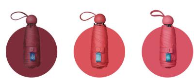 China 5 Folding Pocket Mini Umbrella Auto Open Close 50cm Fiberglass Ribs UV Coating for sale