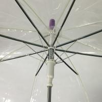 China 19 Inches Auto Open Compact Golf Umbrella POE Children Umbrella for sale