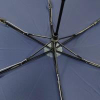 China Lightest 3 Folding Umbrella Carbon Ribs Manual Open 19 Inches 6 Panels Pongee for sale