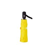 China Customizable Color Automatic Travel Umbrella Lightweight And Durable for sale