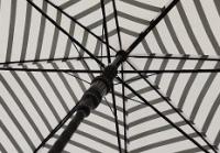 China 23 Inch Auto Open Stick Umbrella 8 Fiberglass Ribs J Shape Rubber Coated Handle for sale
