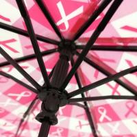 China Compact Lightweight Auto Open Travel Umbrella With Durable Metal Shaft for sale