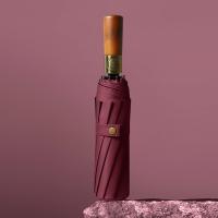 China Windproof 10-Ribbed Metal Shaft Automatic Open / Close Travel Umbrella for sale