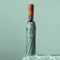 China Windproof 10-Ribbed Metal Shaft Automatic Open / Close Travel Umbrella for sale