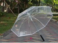 China 23 Inch Transparent Golf Umbrella with LED Light Auto Open Fiberglass Ribs Aluminum Shaft for sale